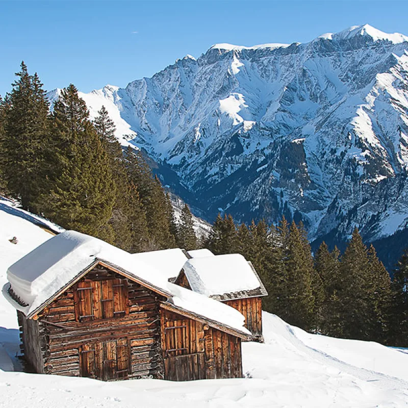 Winter Specials / Paulaner am Dom